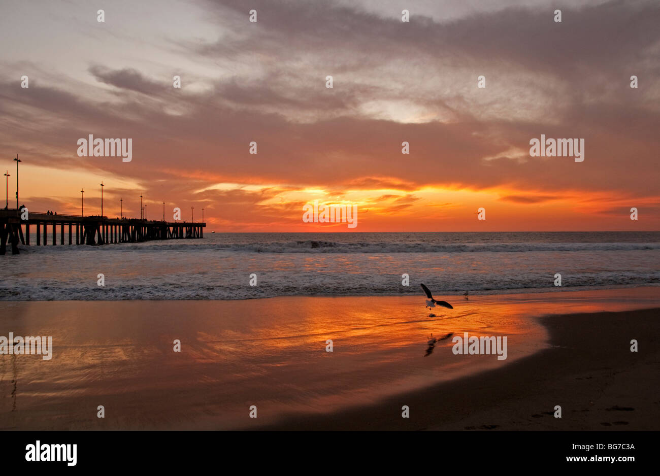 Sunset at Venice Fishing Pier, Venice Beach, California Stock Photo - Alamy