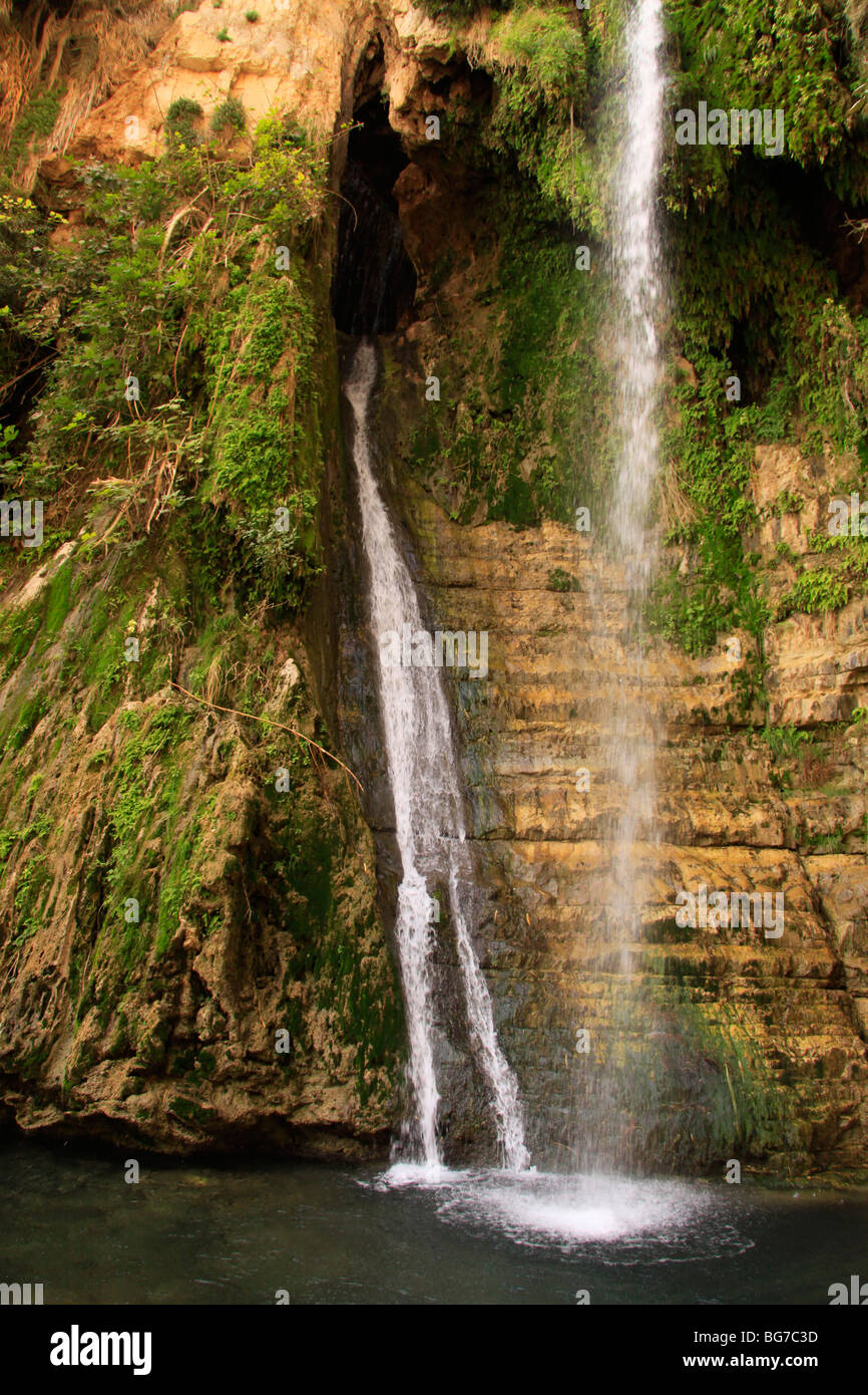 Israel, Judean Desert, David waterfall in Ein Gedi Stock Photo - Alamy