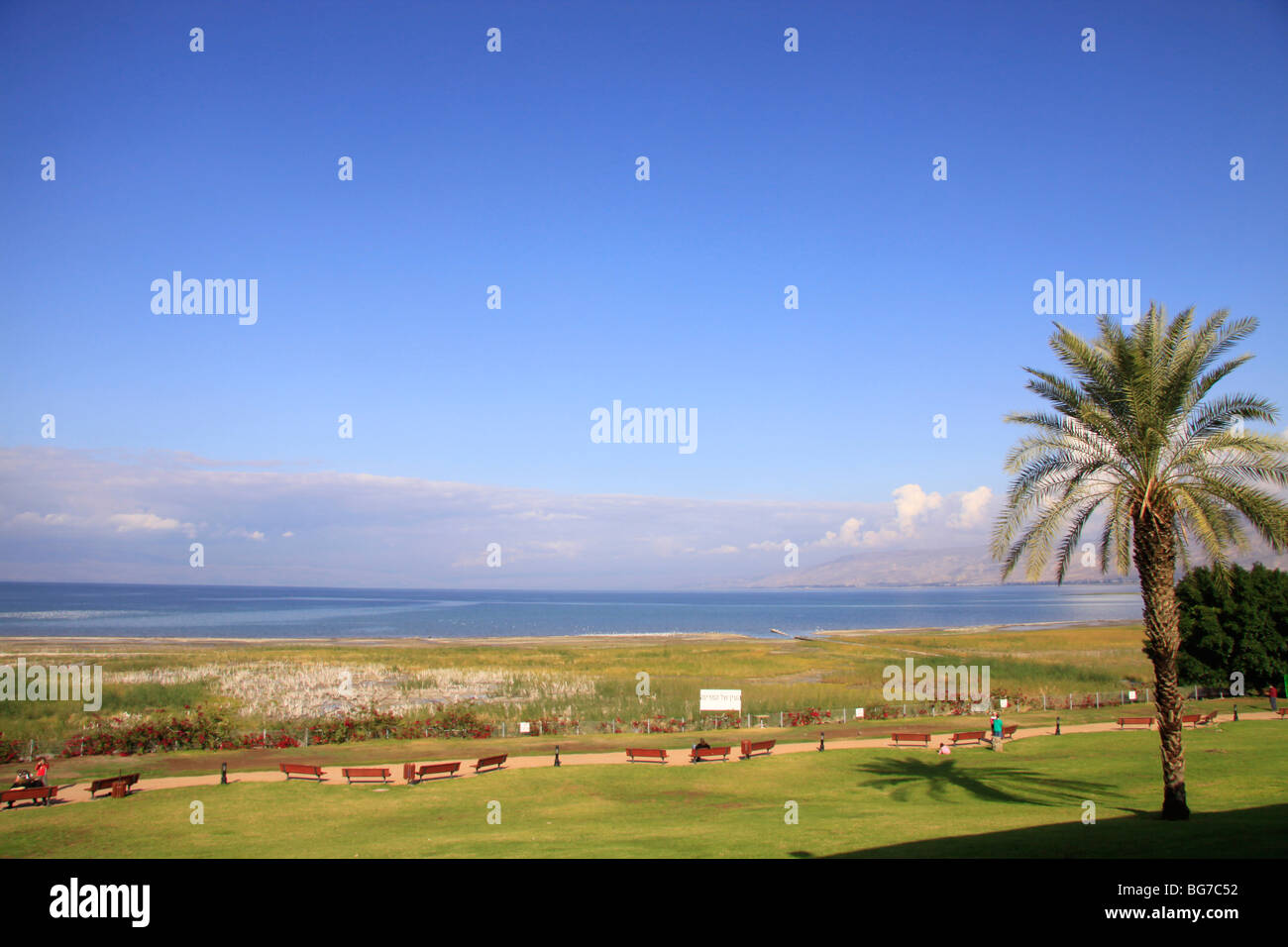 Israel, A view of the Sea of Galilee from Bet Gabriel Stock Photo - Alamy