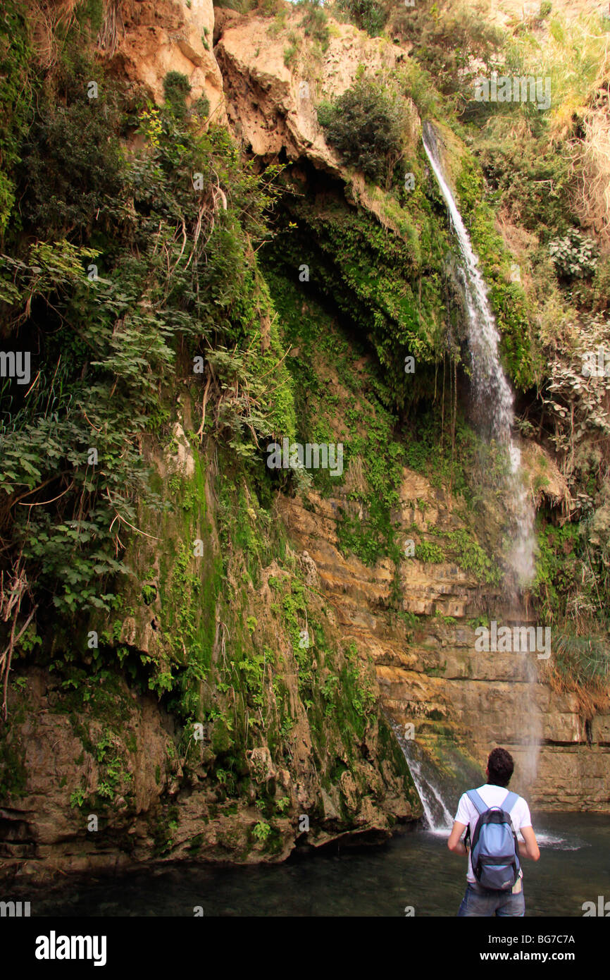 Israel, Judean Desert, David waterfall in Ein Gedi Stock Photo - Alamy