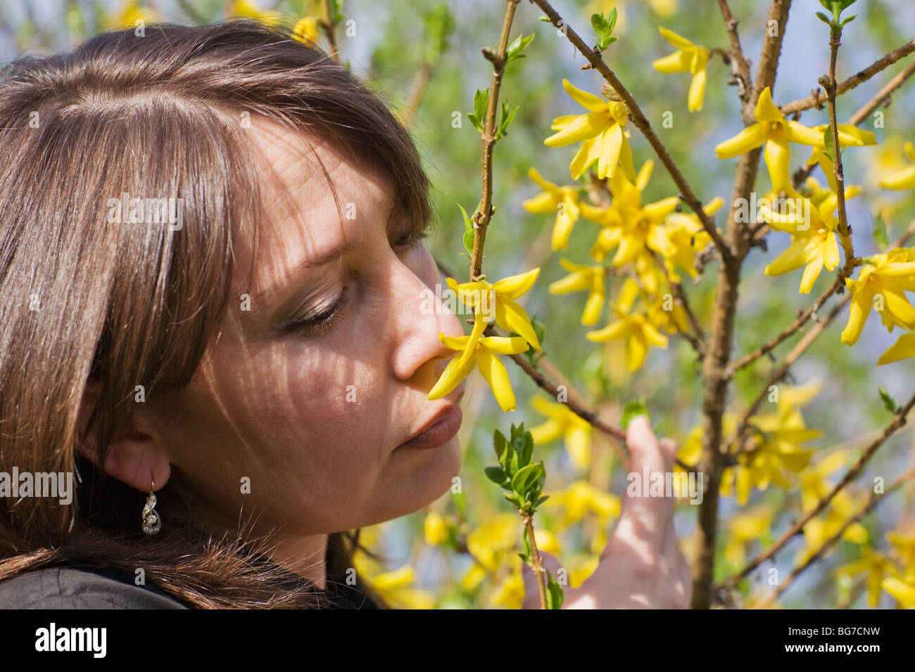 Woman smelling forsythia, eyes closed Stock Photo - Alamy