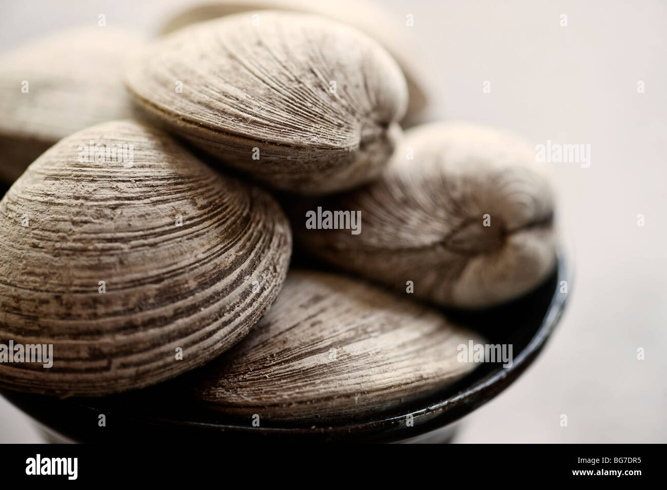 Clam shell bowl hi-res stock photography and images - Alamy