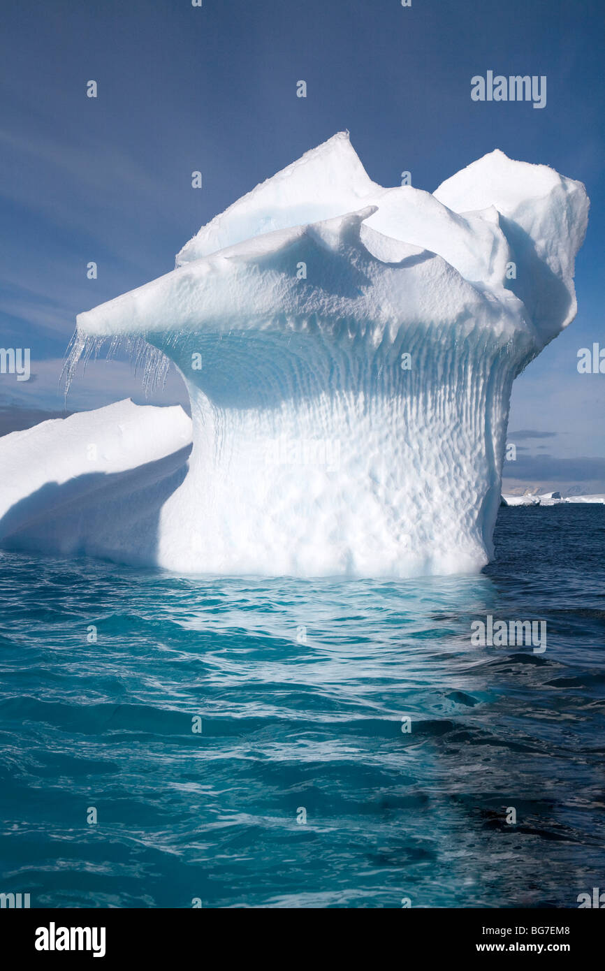 Oddly shaped icebergs grounded off Cuverville Island, Antarctica Stock ...