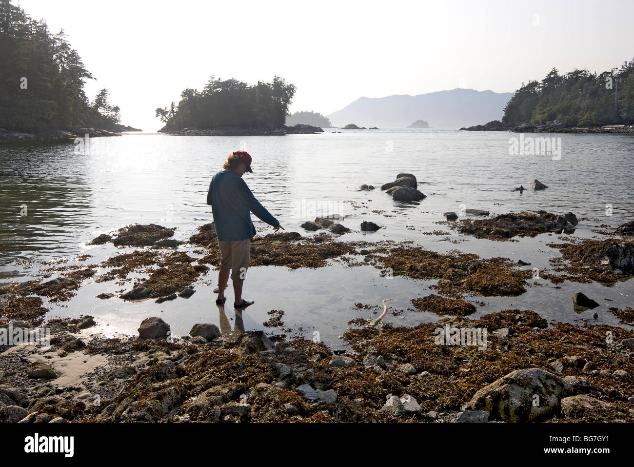 Woman looks at sea stars and anemones in low tide pools on Willis ...