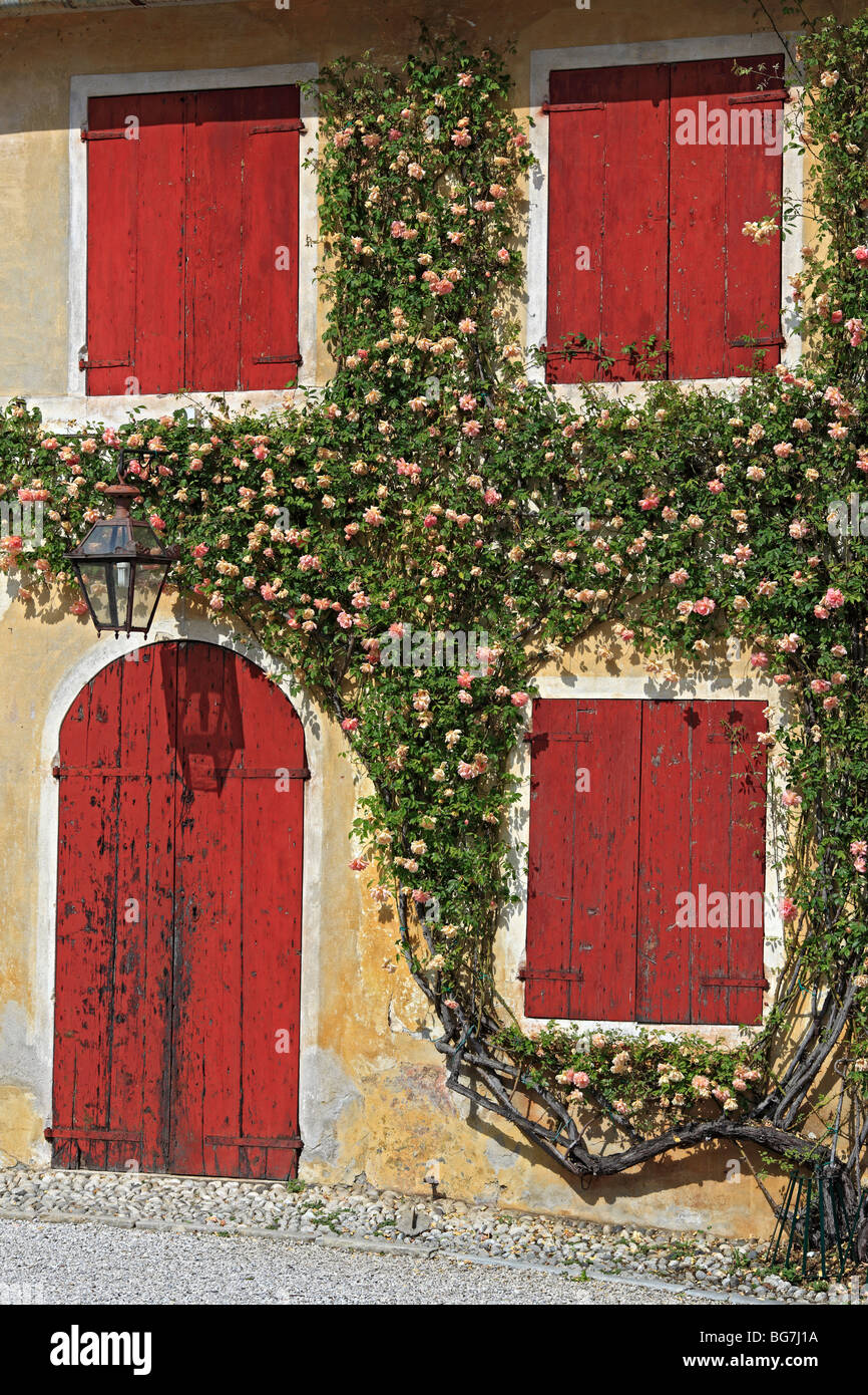 Maser hi-res stock photography and images - Alamy