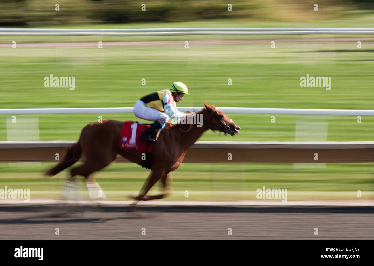Horse racer at Arlington Park racetrack, Illinois Stock Photo - Alamy