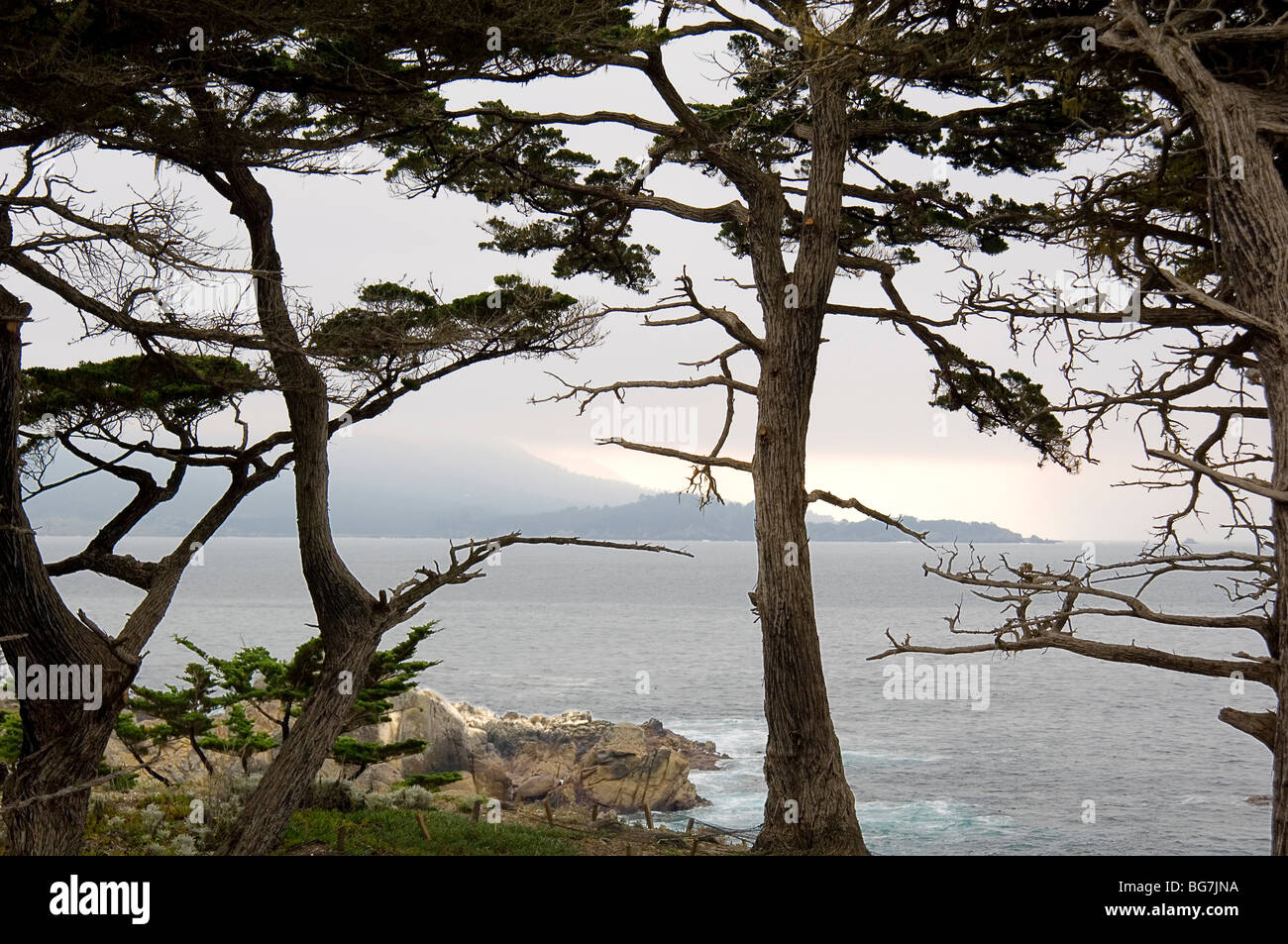 Travel tourism california hi-res stock photography and images - Alamy