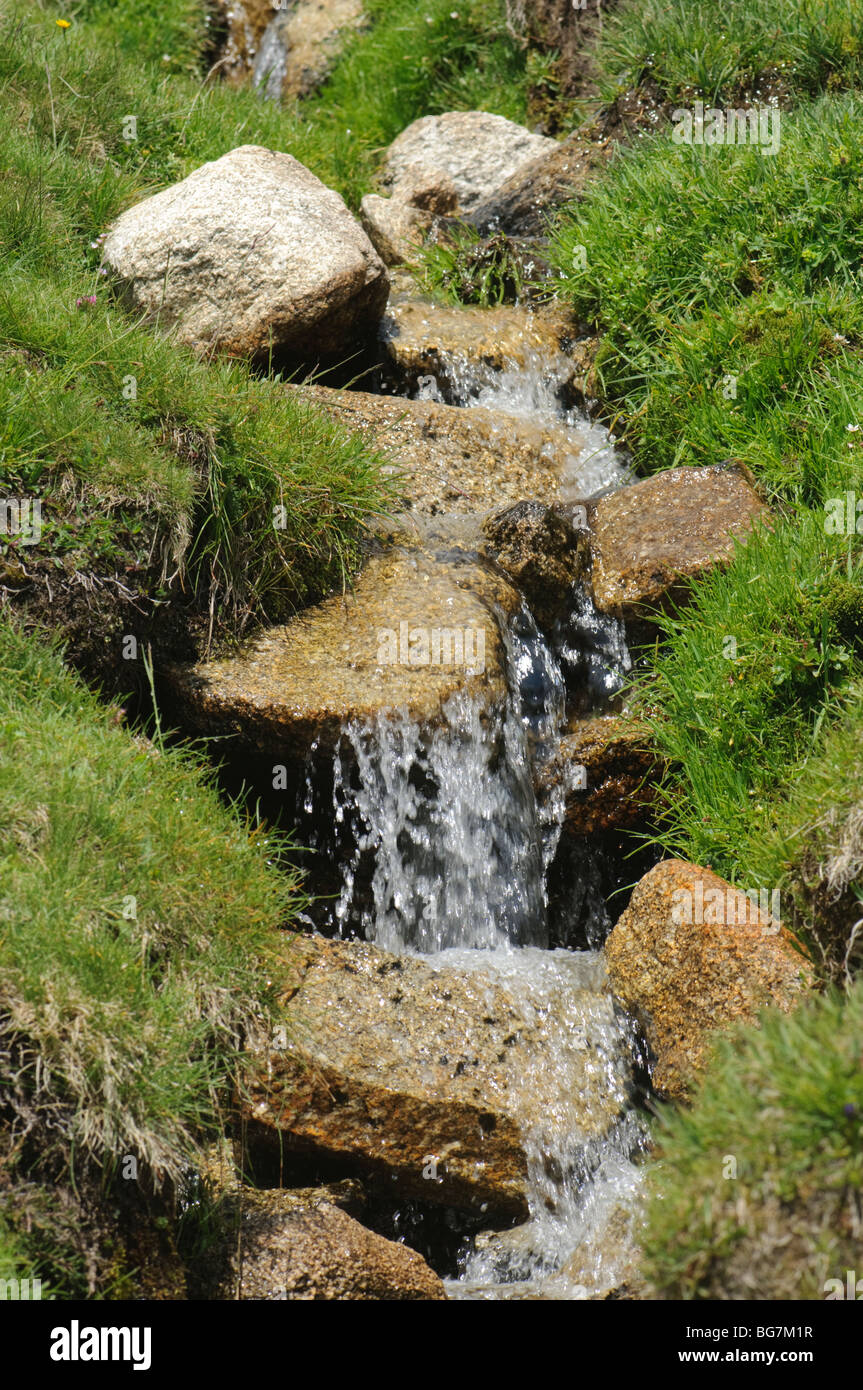 Stream in mountain meadow, Pyrenees, Spain Stock Photo - Alamy