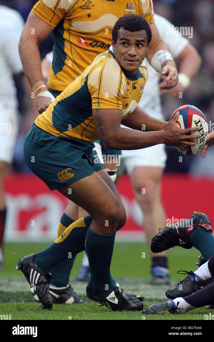 Genia hi-res stock photography and images - Alamy