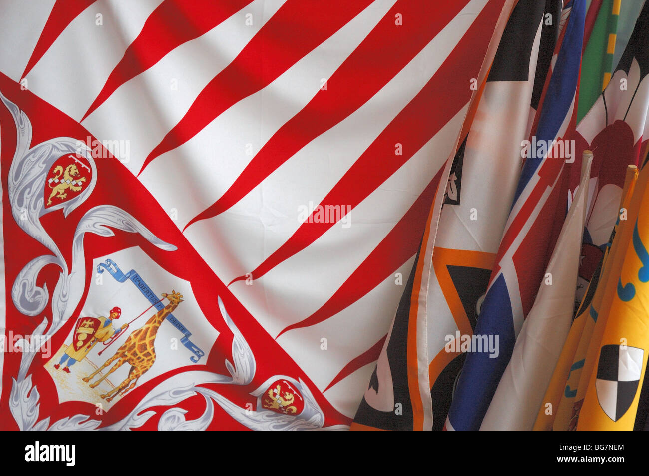 Colourful Flags of the Palio in Siena, Tuscany, Italy, Europe Stock ...