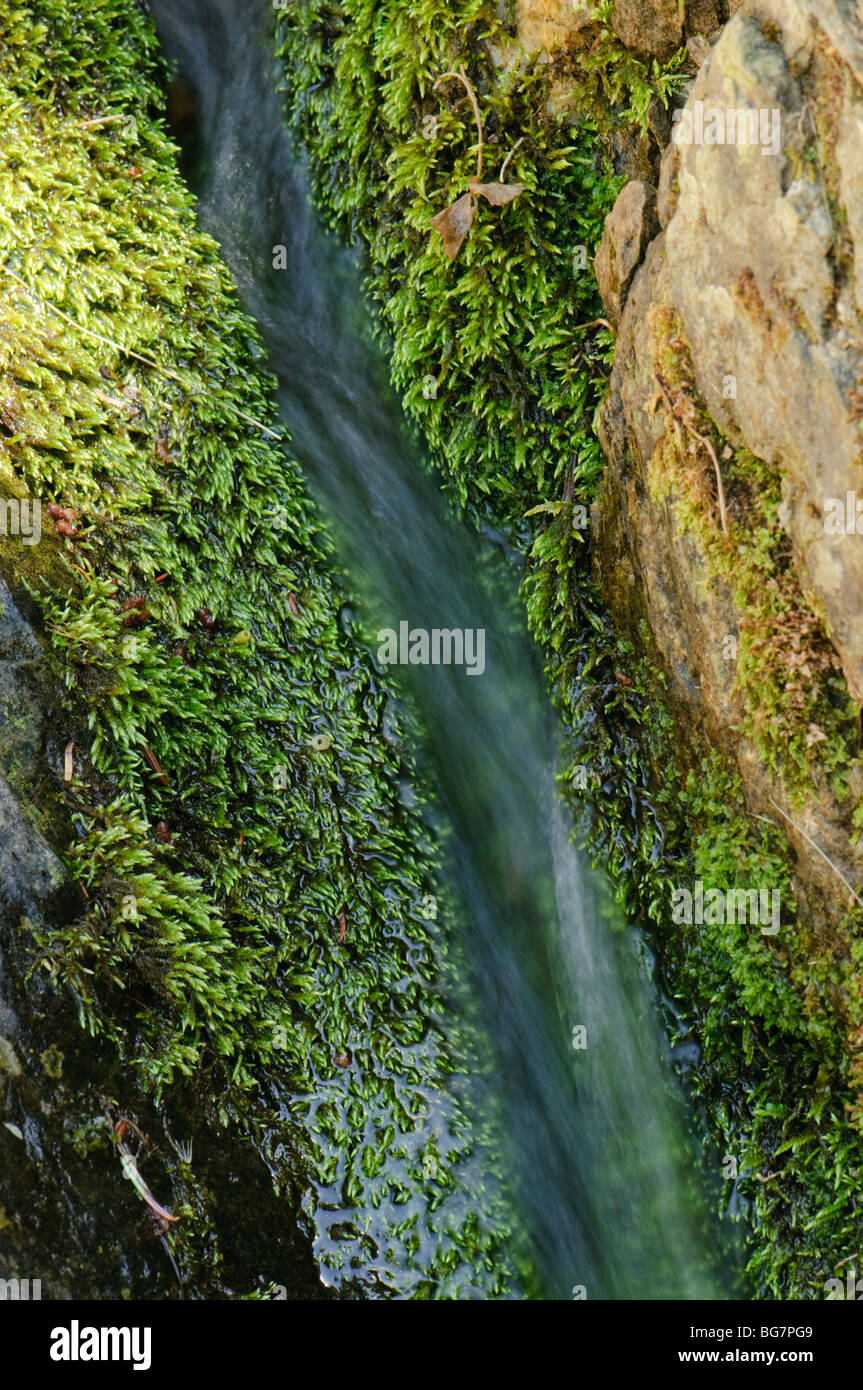 Stream running across hi-res stock photography and images - Alamy