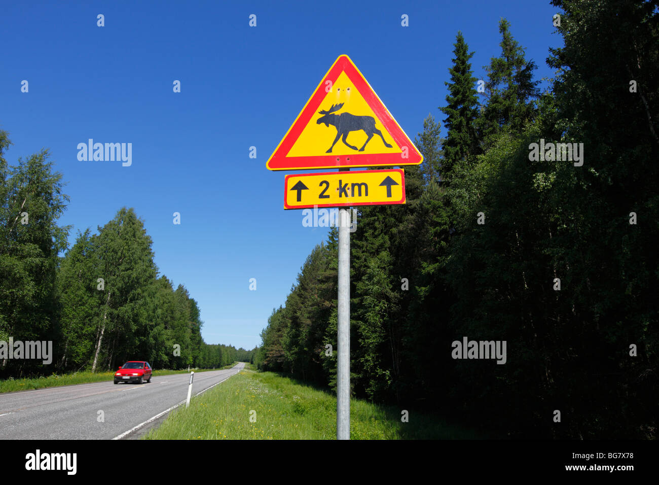 Finland, Region of Southern Savonia, Savonlinna, Punkaharju Ridge ...