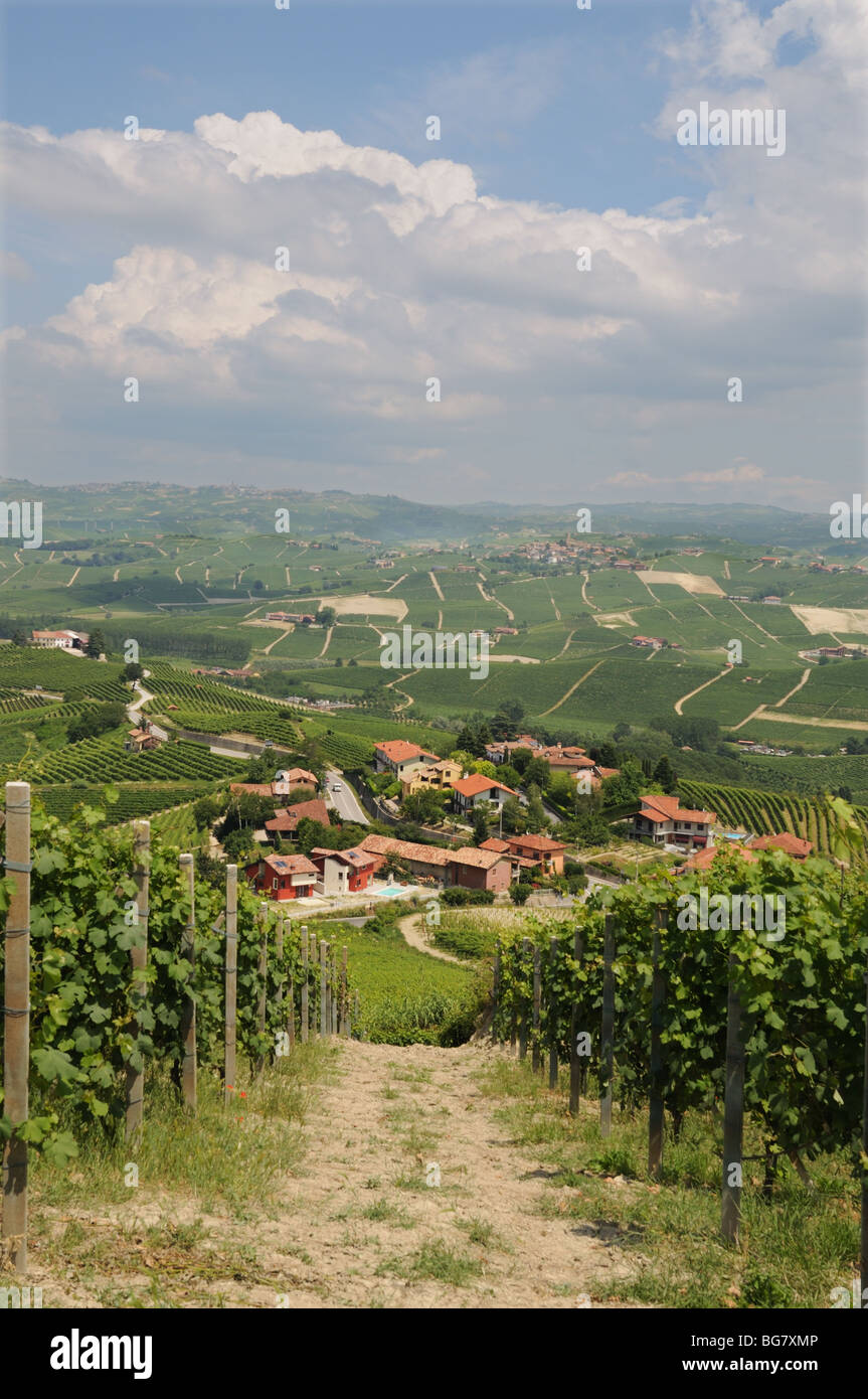 Vigneto in barolo hi-res stock photography and images - Alamy