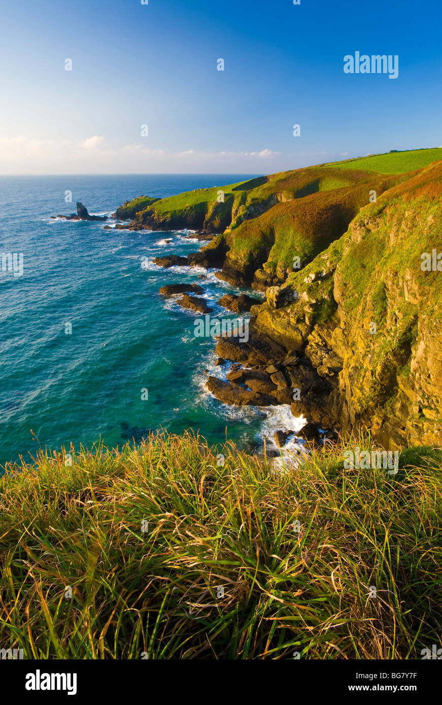 Lizard Peninsula, Cornwall, England, UK Stock Photo - Alamy