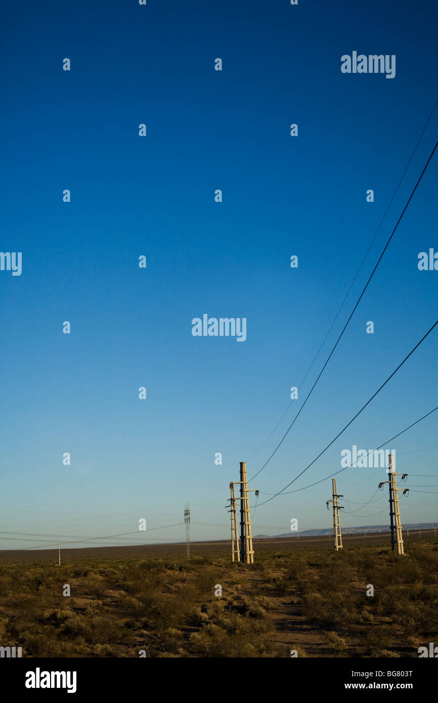 Power lines on poles cross the land, Neuquen, Patagonia, Argentina ...