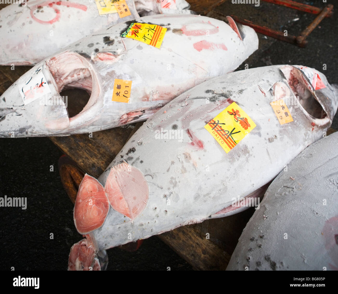 Tuna inspection hi-res stock photography and images - Alamy