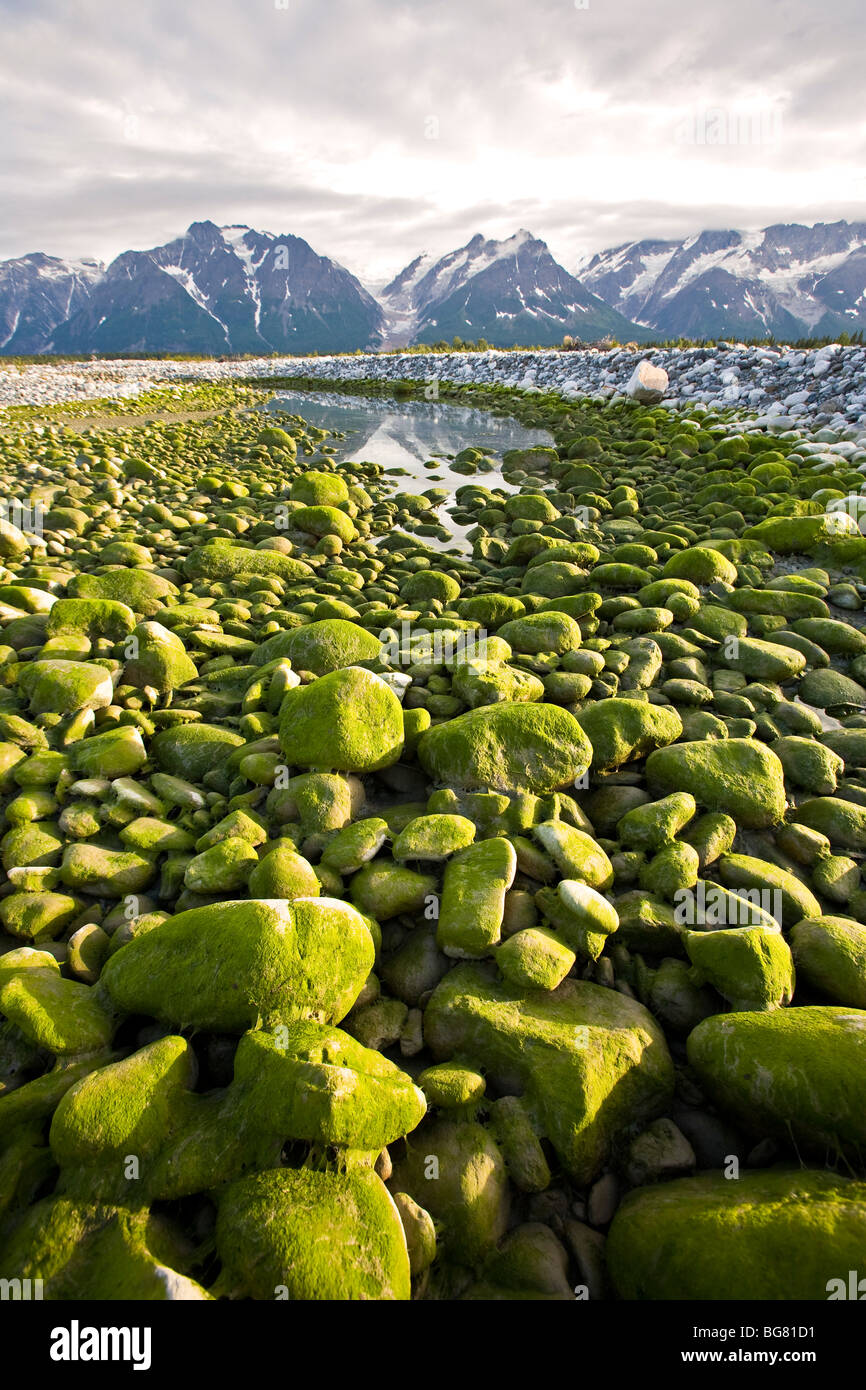 Moss covered rocks and mountains in the Yukon Territory, Canada Stock ...