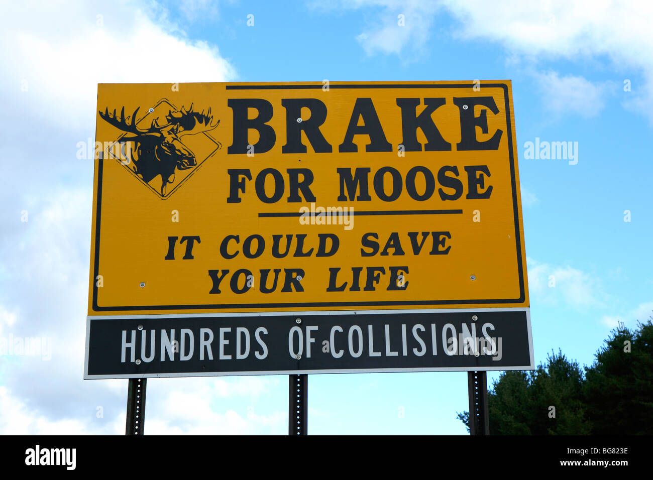 North conway new hampshire wildlife hi-res stock photography and images ...