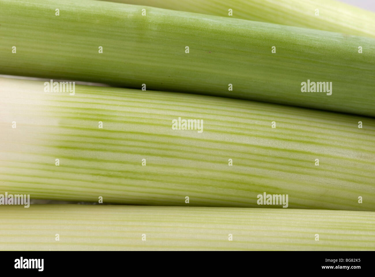 Background texture leek hi-res stock photography and images - Alamy
