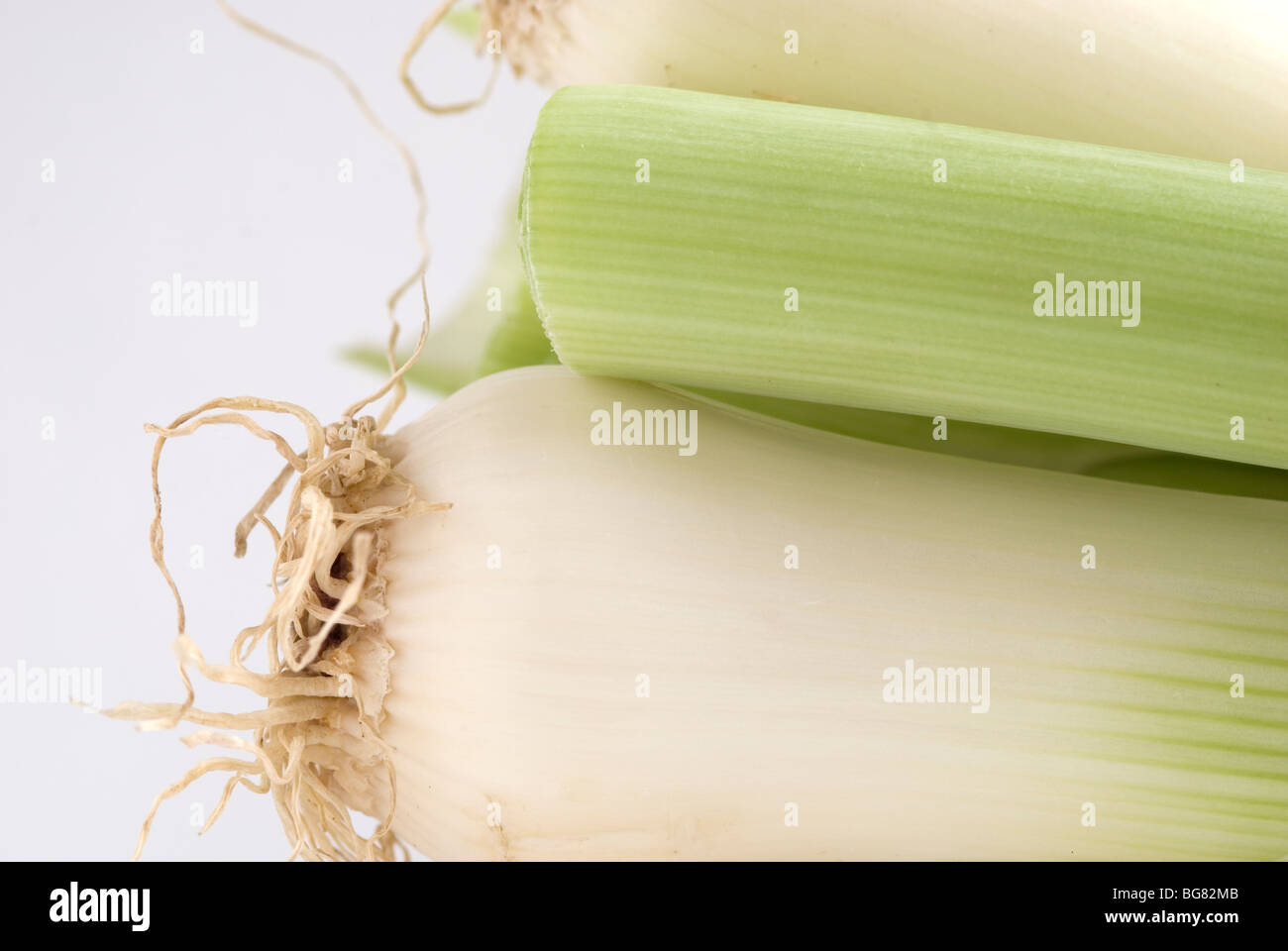 Leek closed up on white background Stock Photo - Alamy