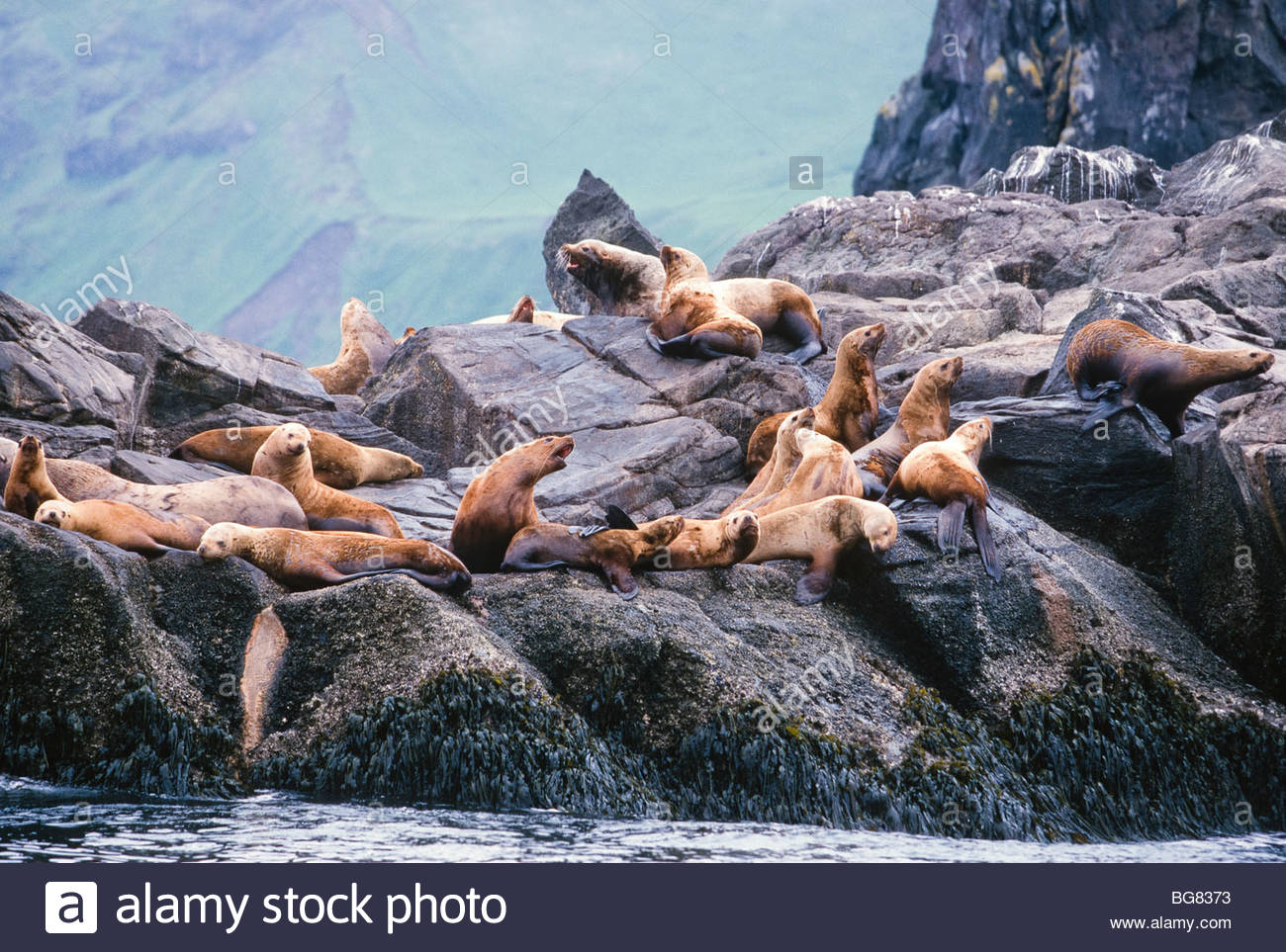 Unalaska Stock Photos & Unalaska Stock Images - Alamy