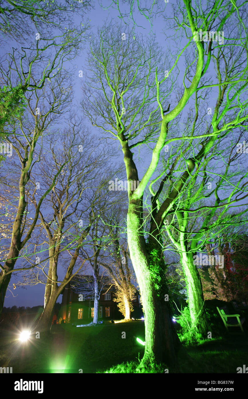 Trees and shrubbery gardens hi-res stock photography and images - Alamy