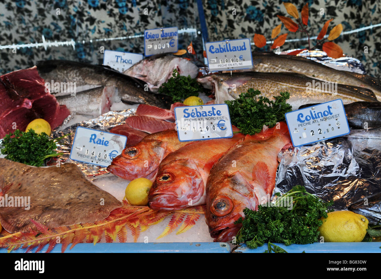 France, Paris, an outdoor, street food market a variety of fresh fish ...