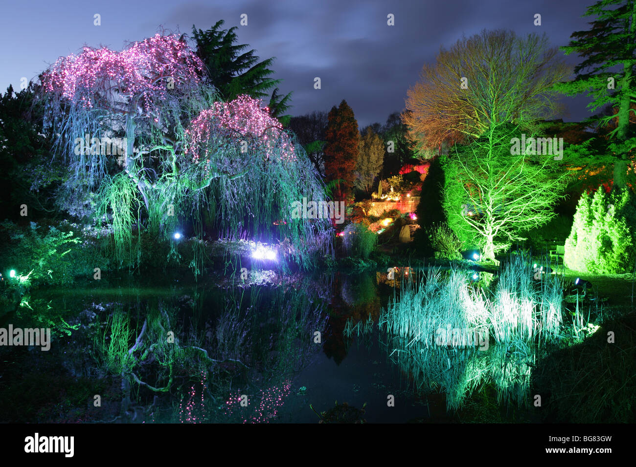 Evening floodlit view of Ness Botanic Gardens Enchanted Pool during the ...
