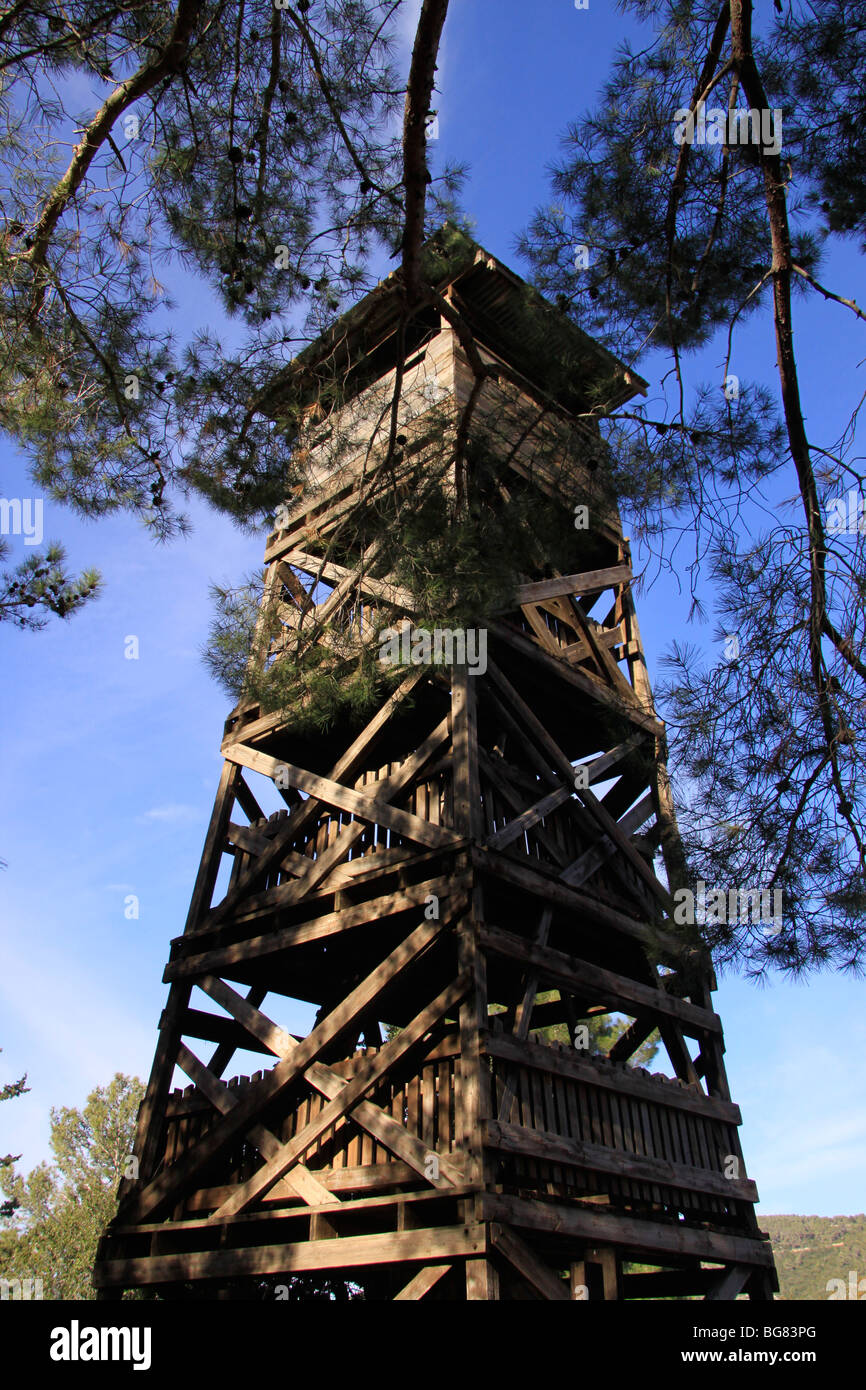 Israel, Upper Galilee, Homa and Migdal in Hanita forest Stock Photo - Alamy