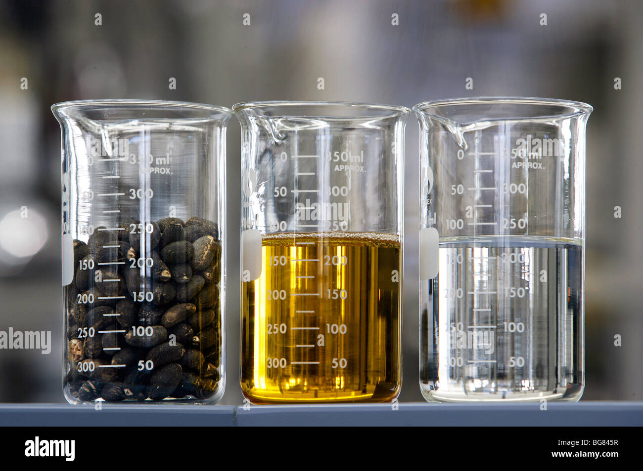Biodiesel hi-res stock photography and images - Alamy