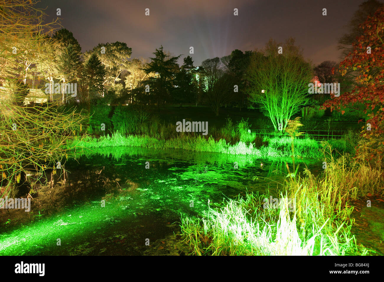 Trees and shrubbery gardens hi-res stock photography and images - Alamy