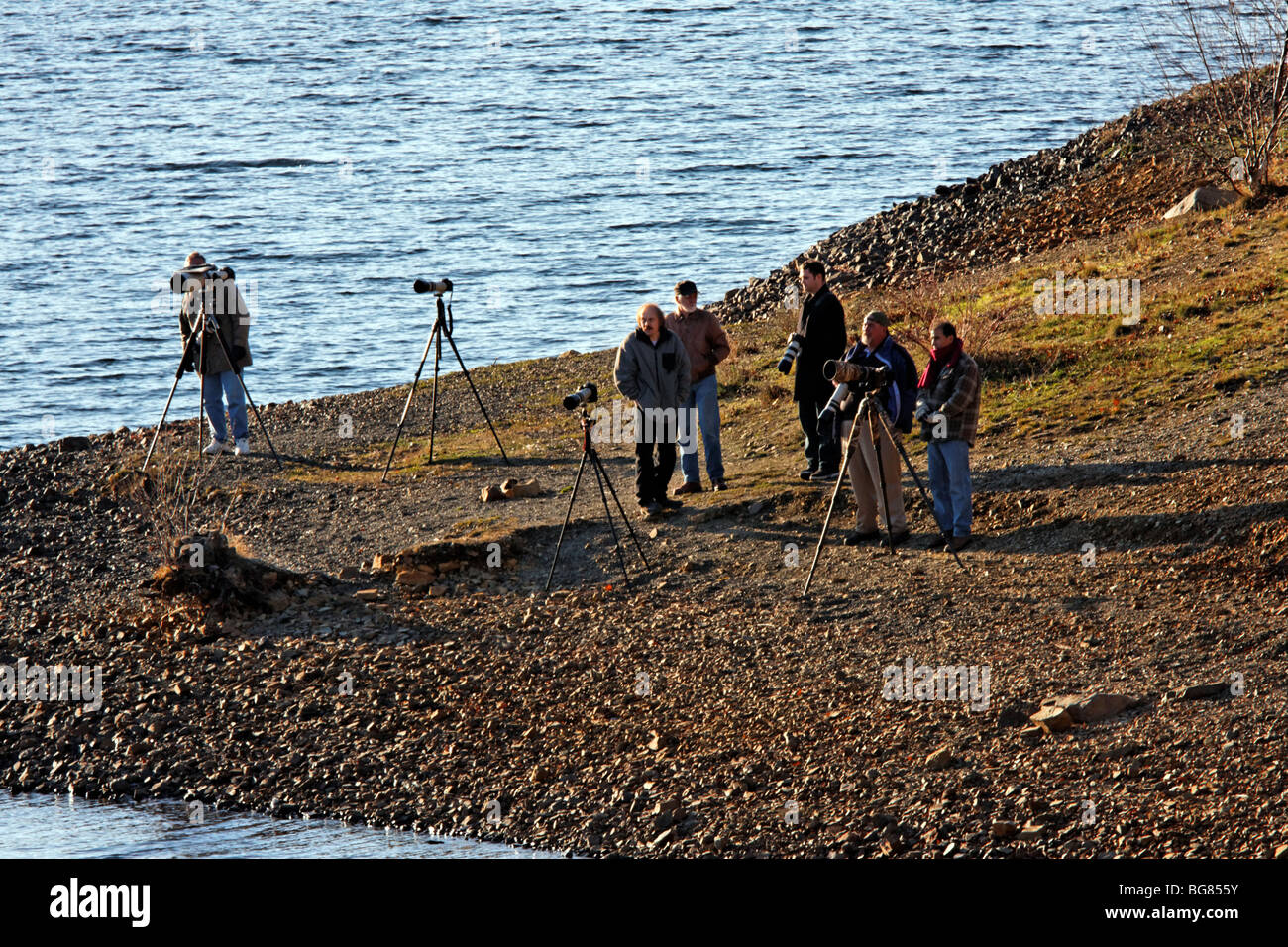 Many wildlife photographers gathered on the bank of Lake Coeur D Alene ...
