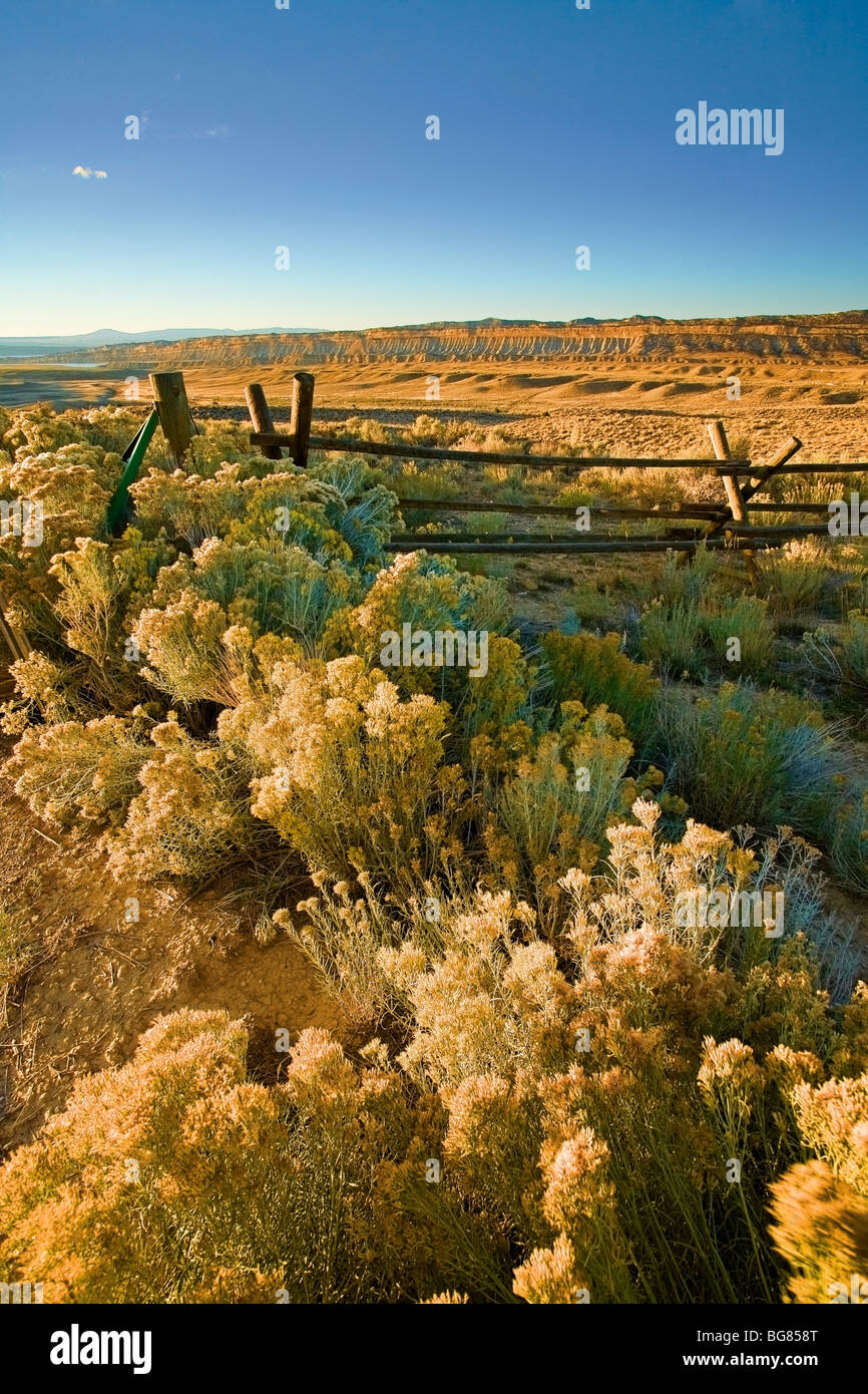 Sagebrush rangeland hi-res stock photography and images - Alamy