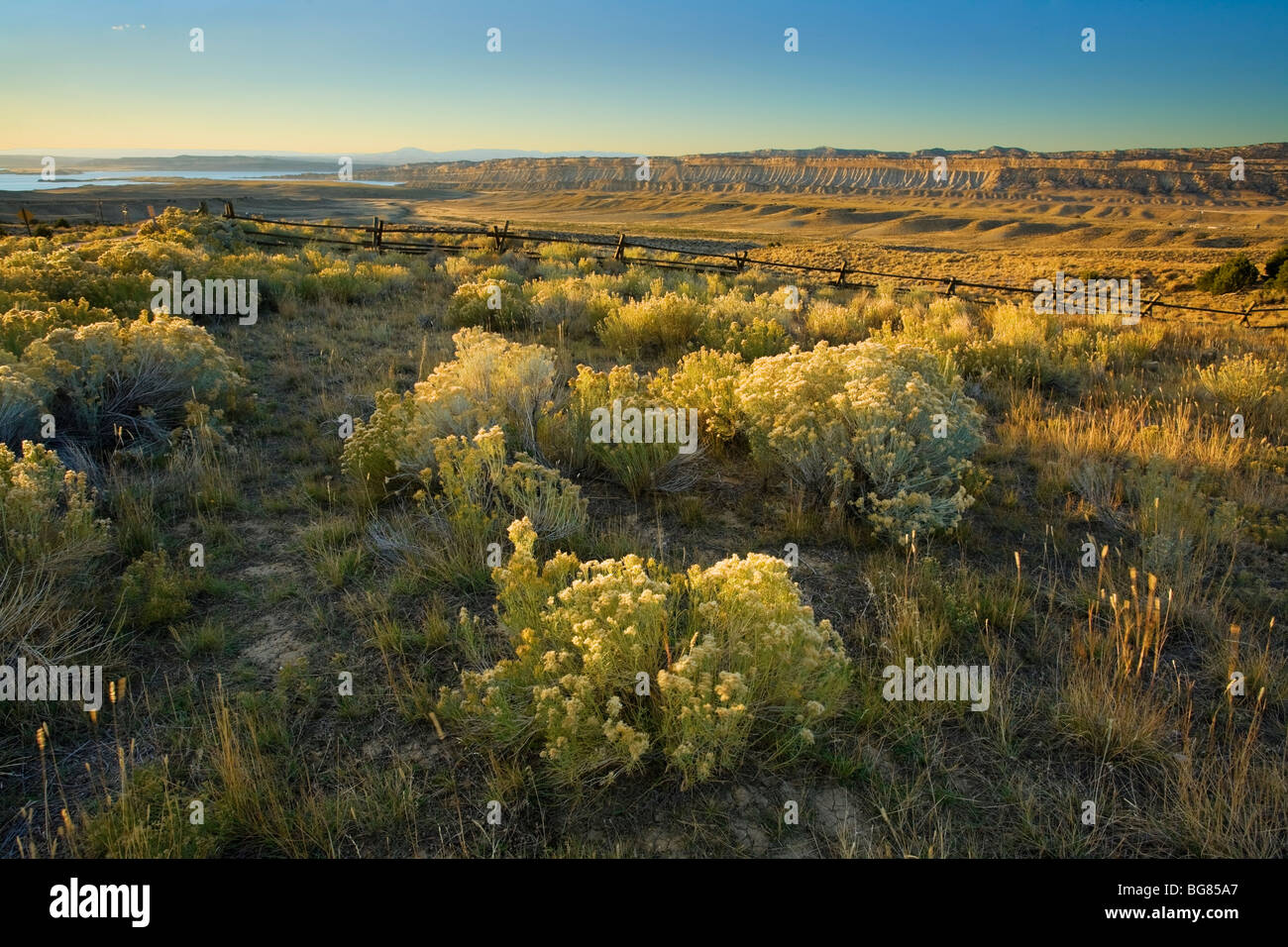 Arid rangeland hi-res stock photography and images - Alamy