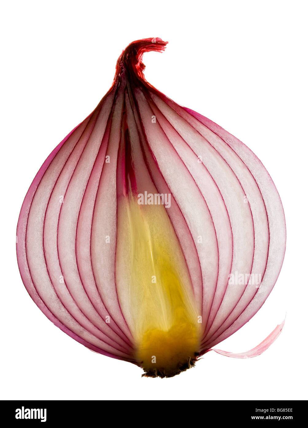 Onion layers hi-res stock photography and images - Alamy