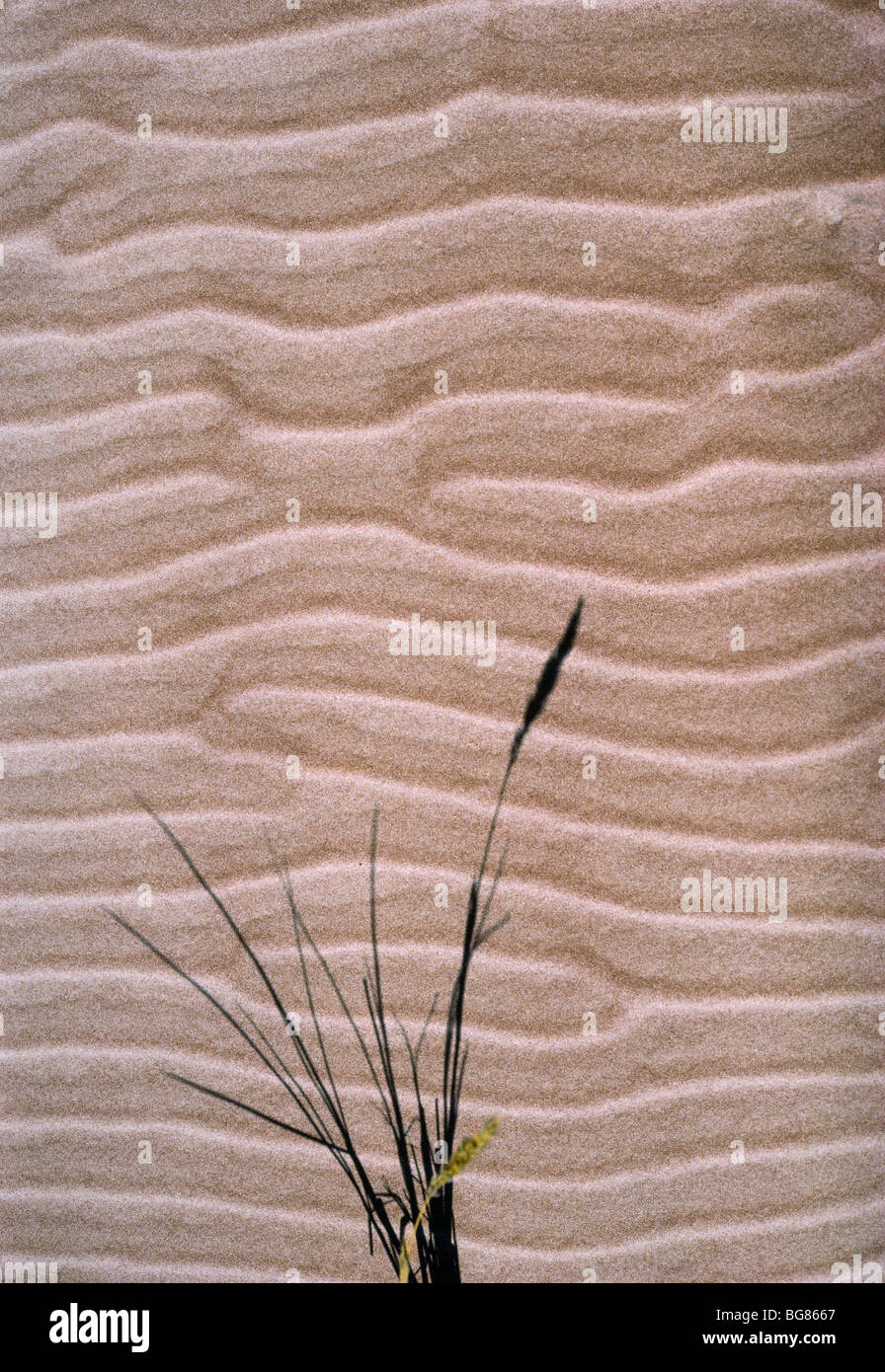 Patterns in the sand Stock Photo - Alamy