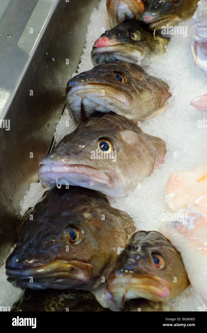 Fish at fish market in Bergen, Norway Stock Photo - Alamy