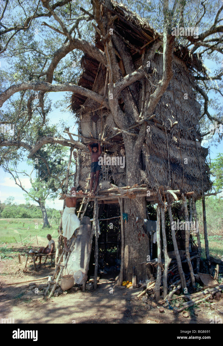 A child at his tree house Stock Photo - Alamy