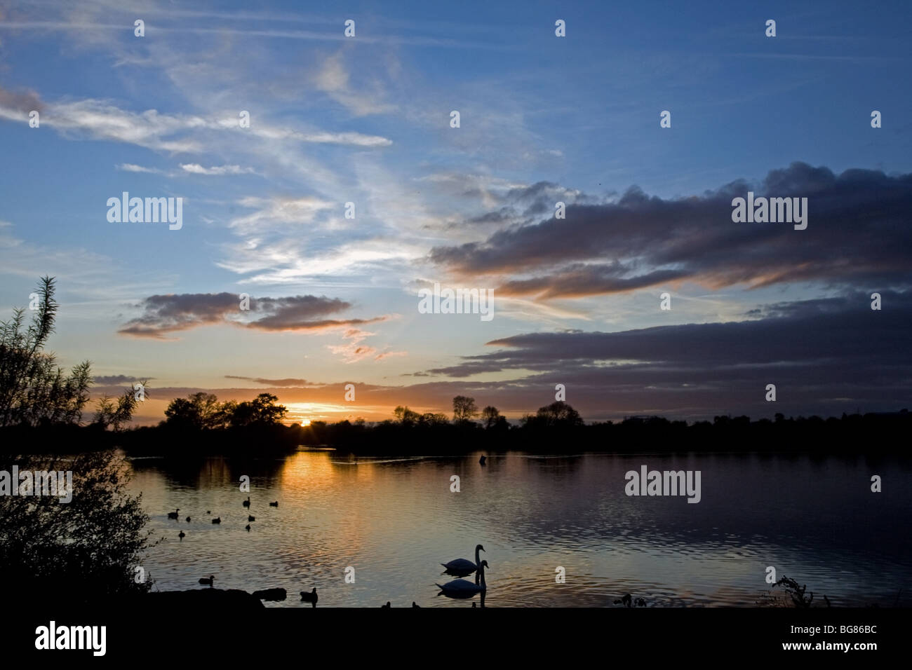 sunset over Attenborough nature reserve, Nottingham Stock Photo - Alamy