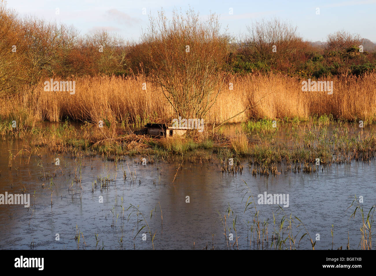 Otter Holt Welsh Wildlife and Wetland Centre Cilgerran Cardigan ...