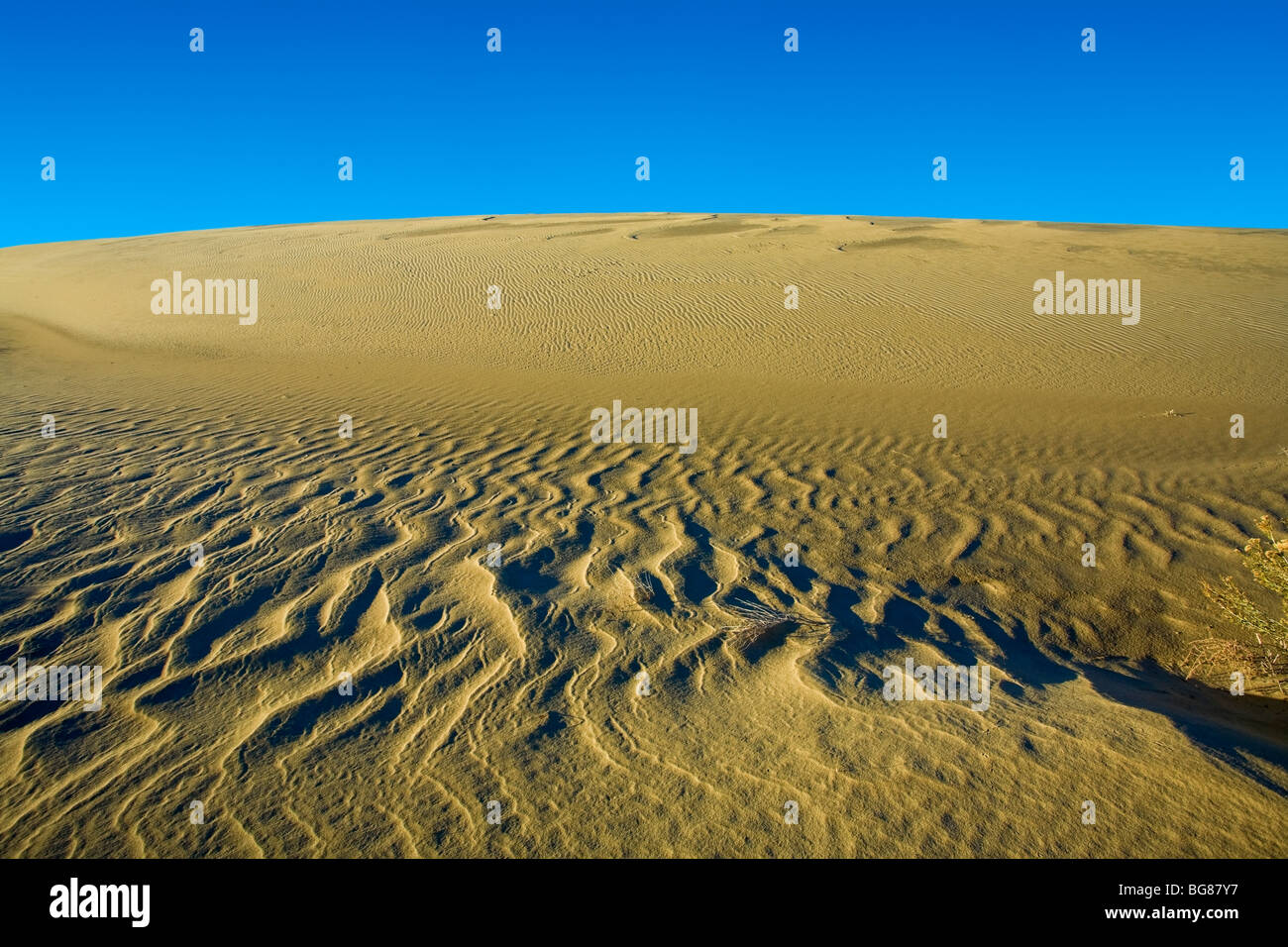 Wind Erosion Sand Dunes