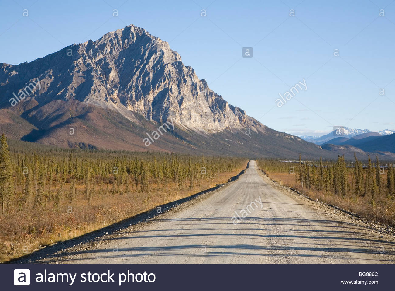 Dillon Stock Photos & Dillon Stock Images - Alamy