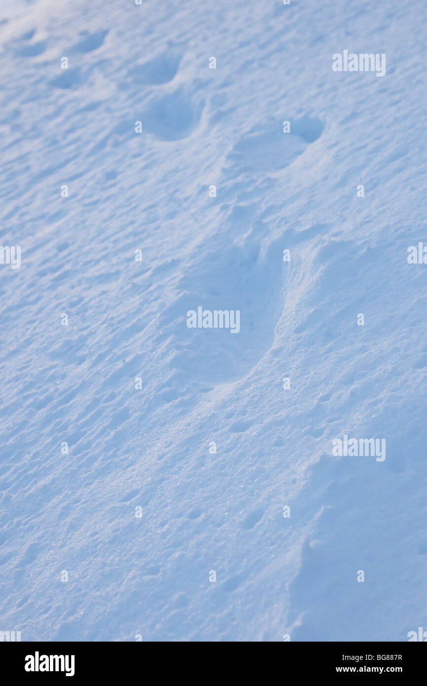 Usa on march hi-res stock photography and images - Alamy