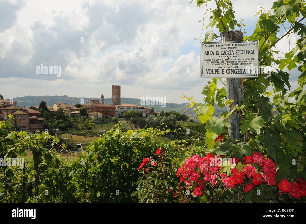 Medieval tower on hill top town Langhe valley Piedmont Italy Piedmonte ...