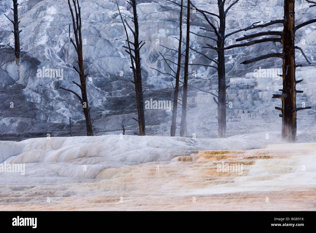 Travertine terraces detail hi-res stock photography and images - Alamy
