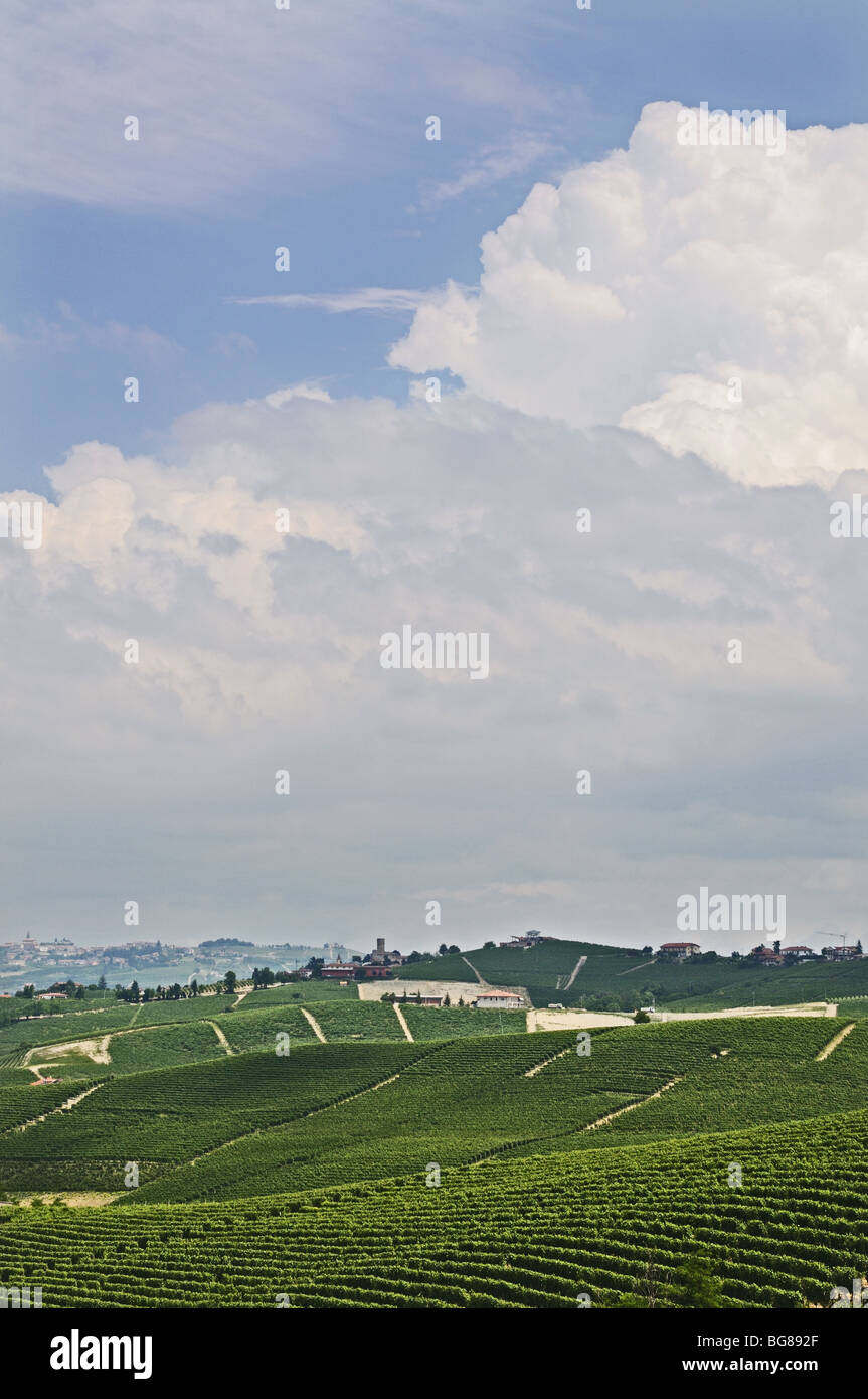 Vigneto in barolo hi-res stock photography and images - Alamy