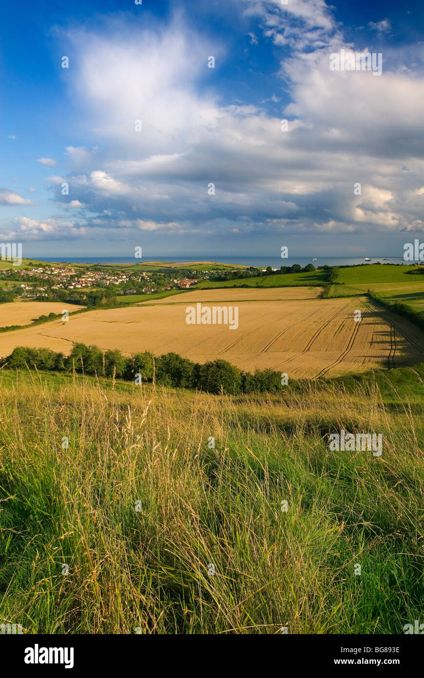 Sutton poyntz hi-res stock photography and images - Alamy