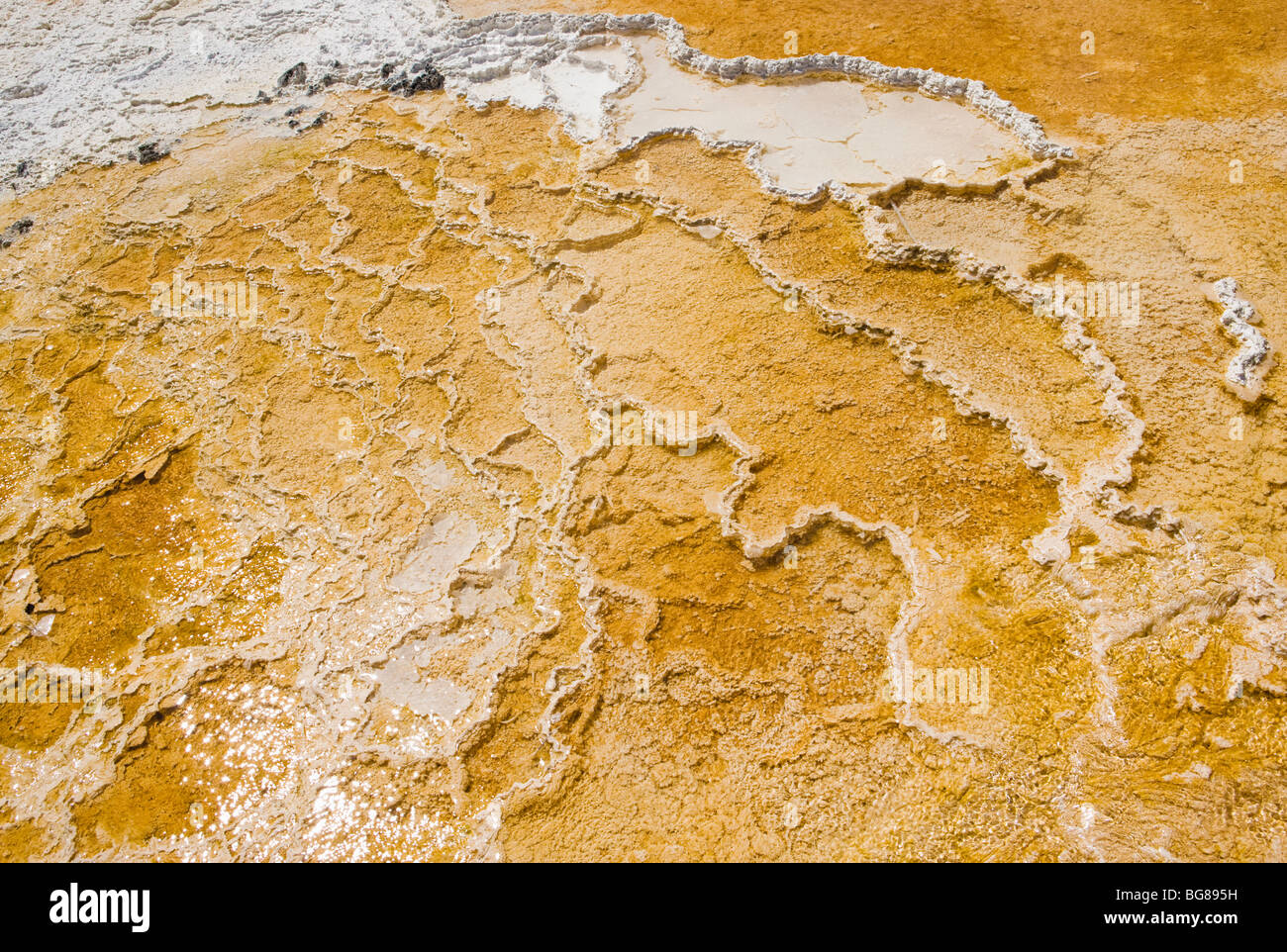 Travertine terraces and pools at Mammoth Hot Springs, Yellowstone ...