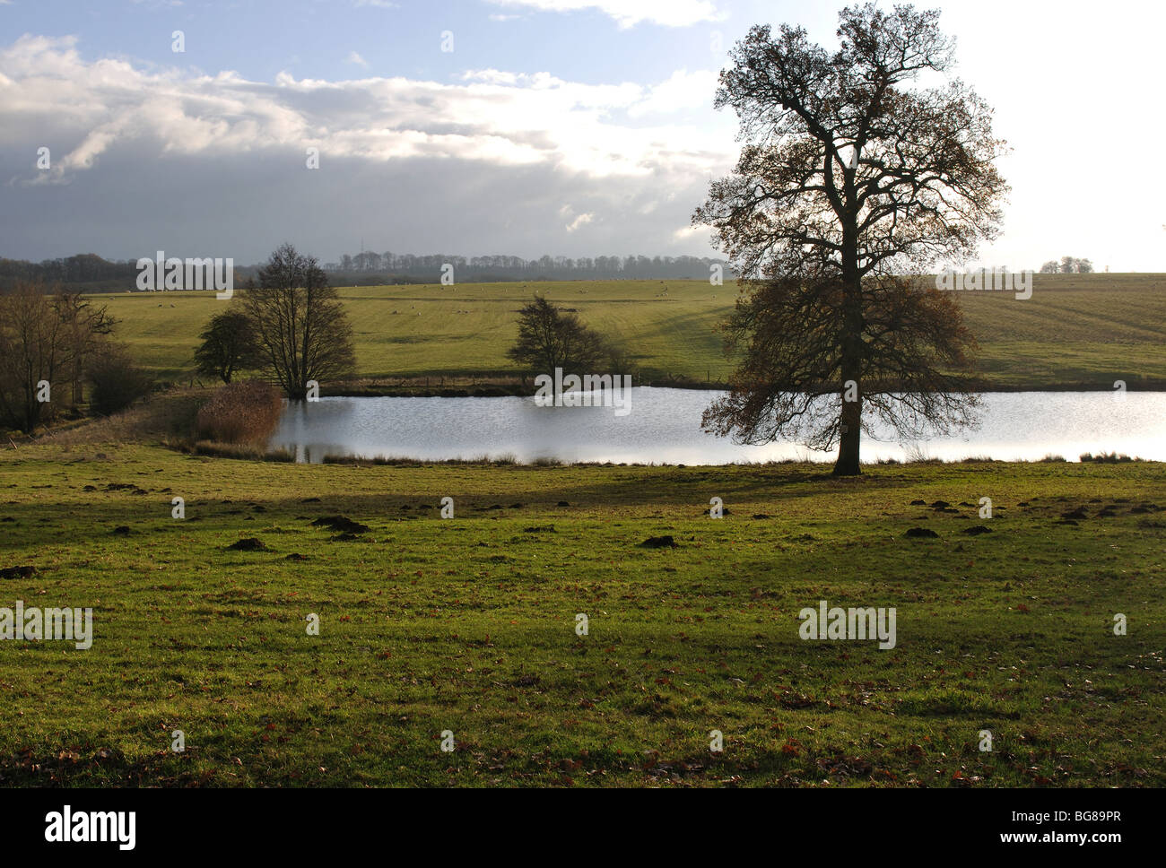 Fawsley park northamptonshire hi-res stock photography and images - Alamy
