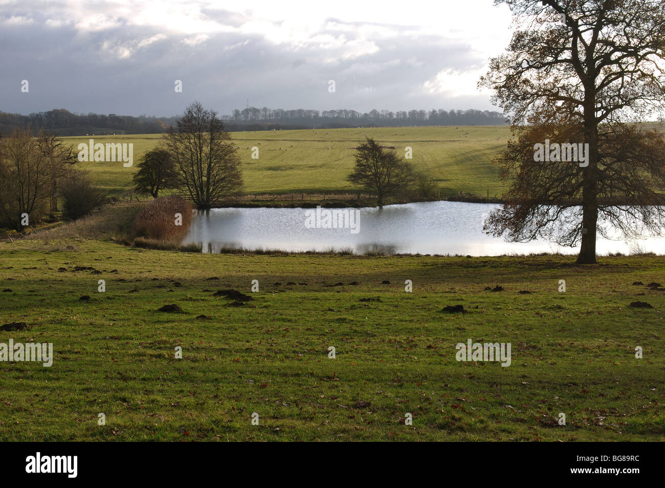 Fawsley park northamptonshire hi-res stock photography and images - Alamy